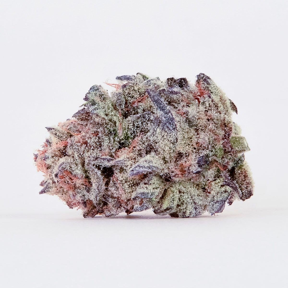 Supernova Indica Strain - Pure Beauty